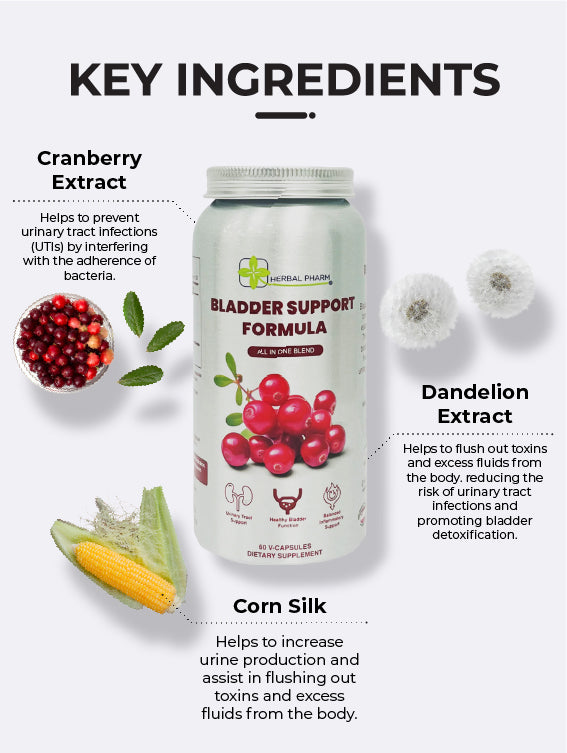 Bladder Control Support Supplement - 60 Capsules | Herbal Pharm Singapore